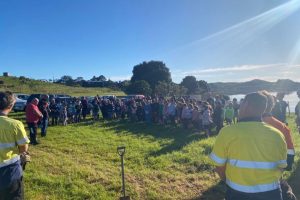 Summit Forests | Growing a better tomorrow