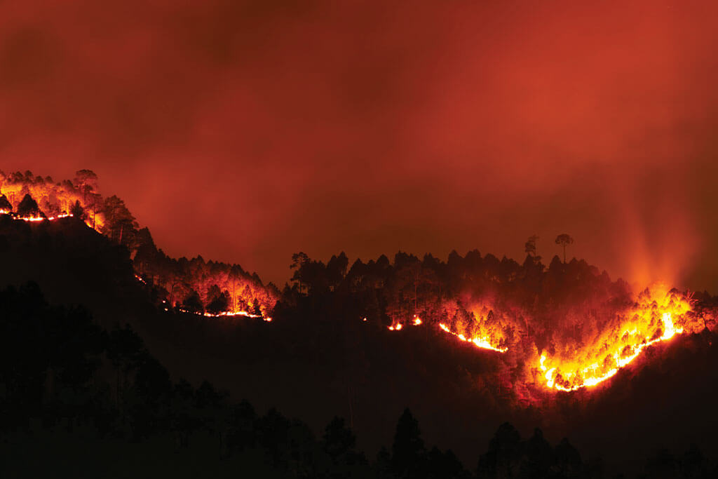 It's time for Kiwis to get more fire-wise | Summit Forests