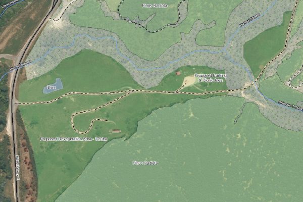 Reveg project, Whanganui | Summit Forests